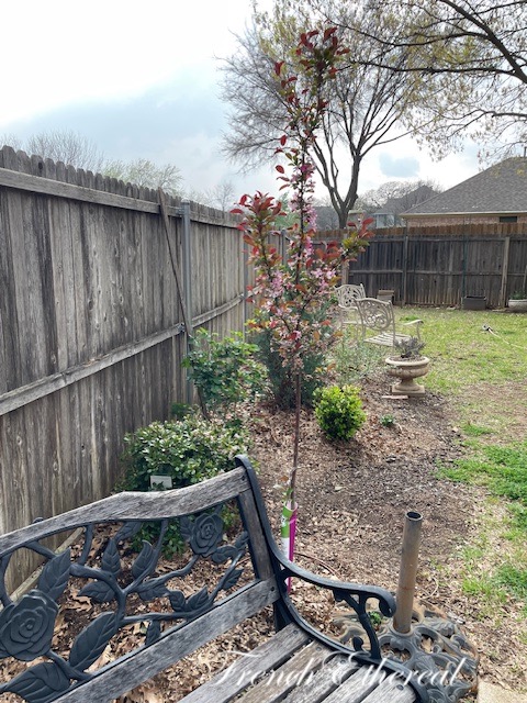 Welcome 2024 with Spring Blooming Containers + Garden Tour – French ...